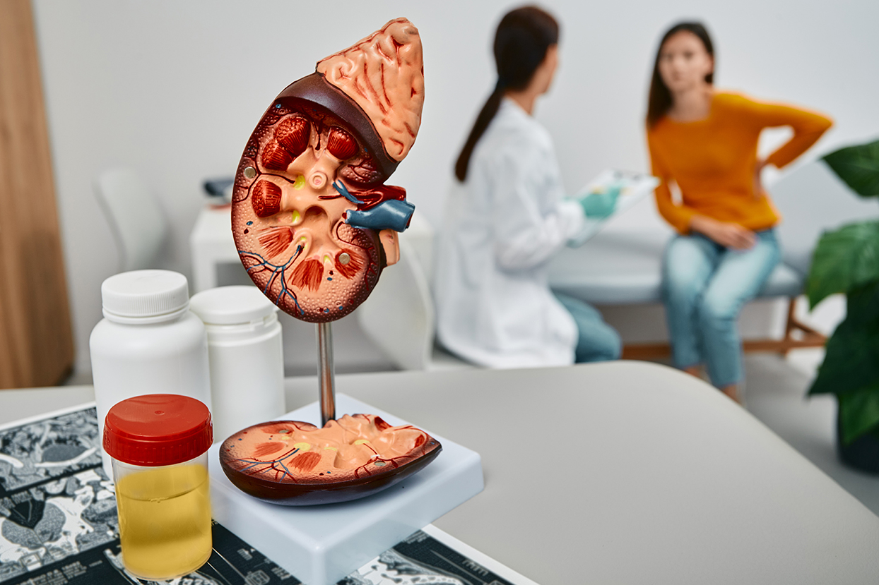 Pourquoi détecter l'insuffisance rénale au plus tôt | Objectif rein santé