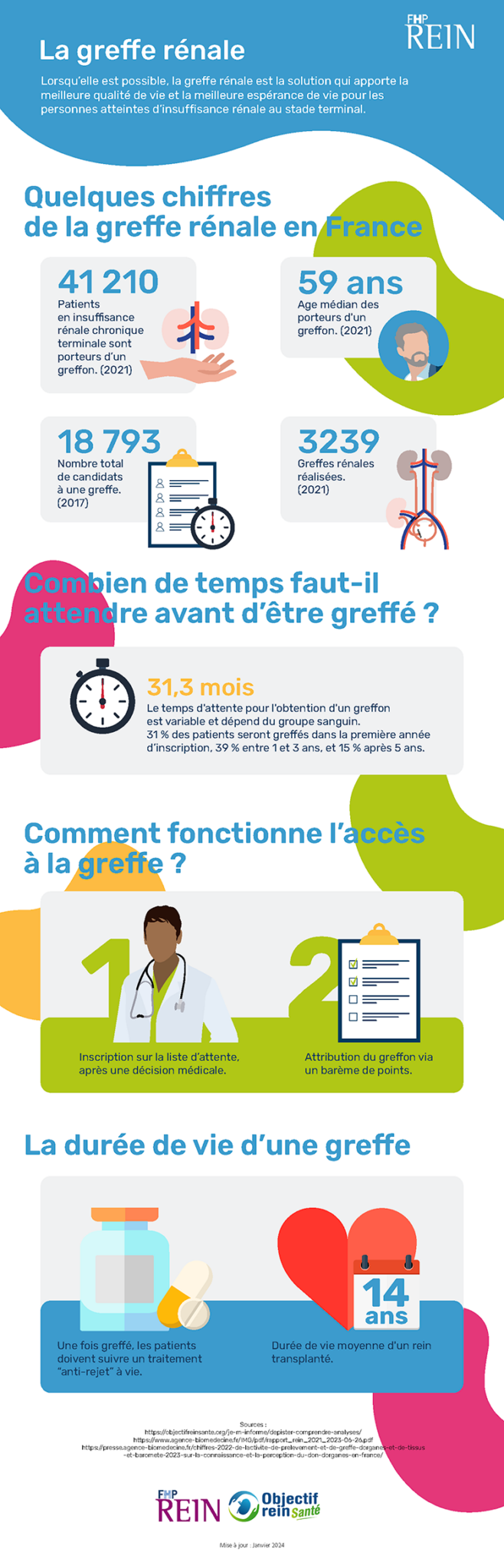 Greffe rénale - Infographie | Objectif rein santé